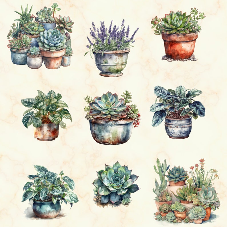 27 Houseplants Watercolor Clipart - Pretty Potted Plants PNG Set, Green ...