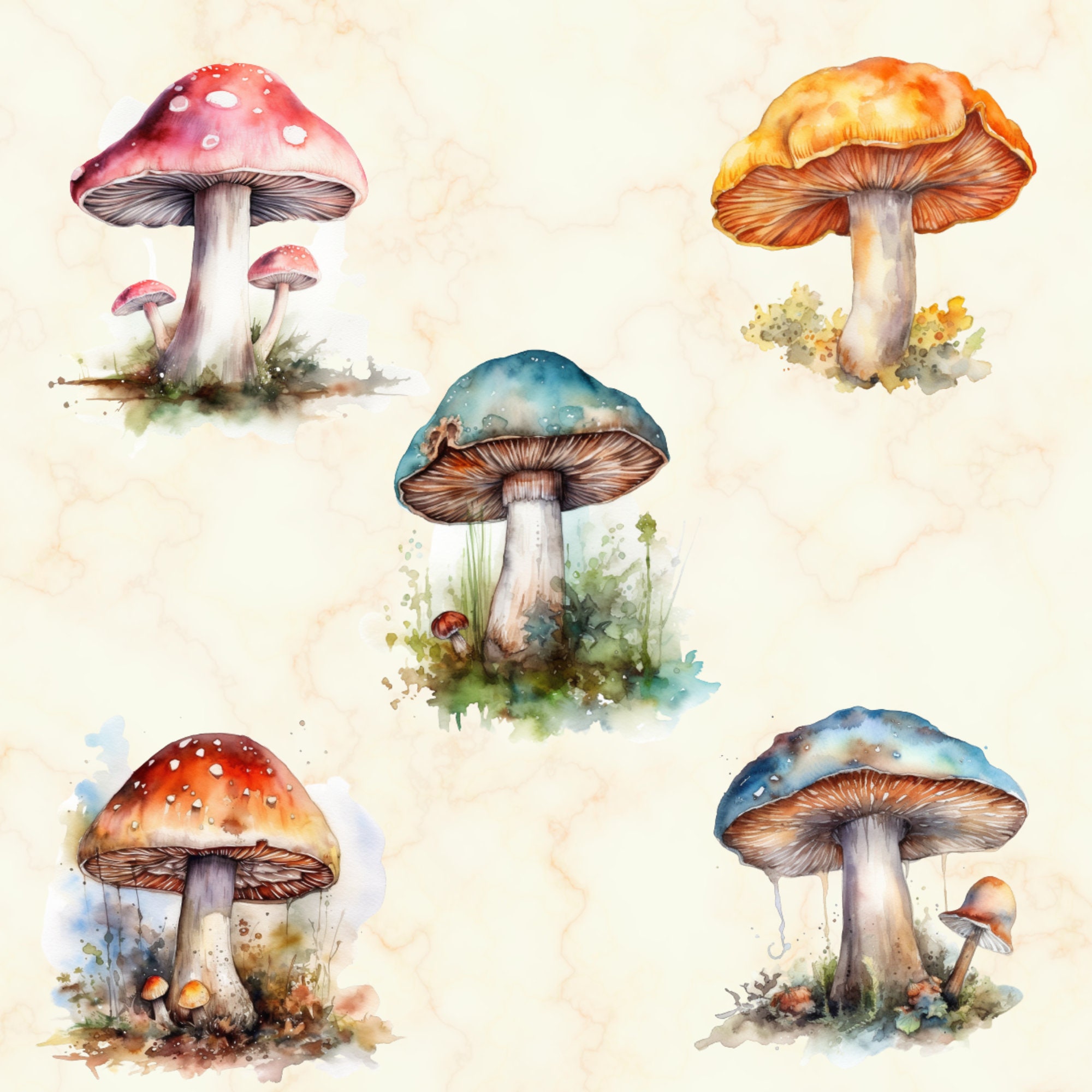 20 PNG Pretty Mushrooms Clipart - Mushroom PNG Set, Cute Colorful ...