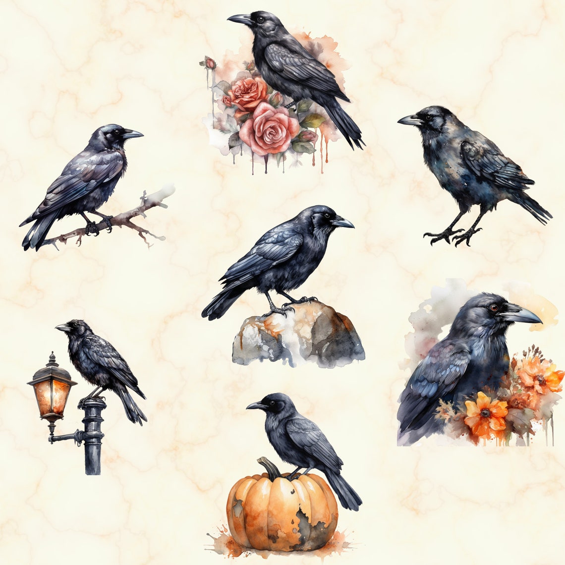 21 Crows Watercolor Clipart - Pretty Fall Black Crows PNG Set, Spooky ...