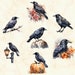 21 Crows Watercolor Clipart - Pretty Fall Black Crows PNG Set, Spooky ...
