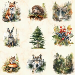 27 Forest Watercolor Clipart - Forest Animals PNG Set, Trees and ...