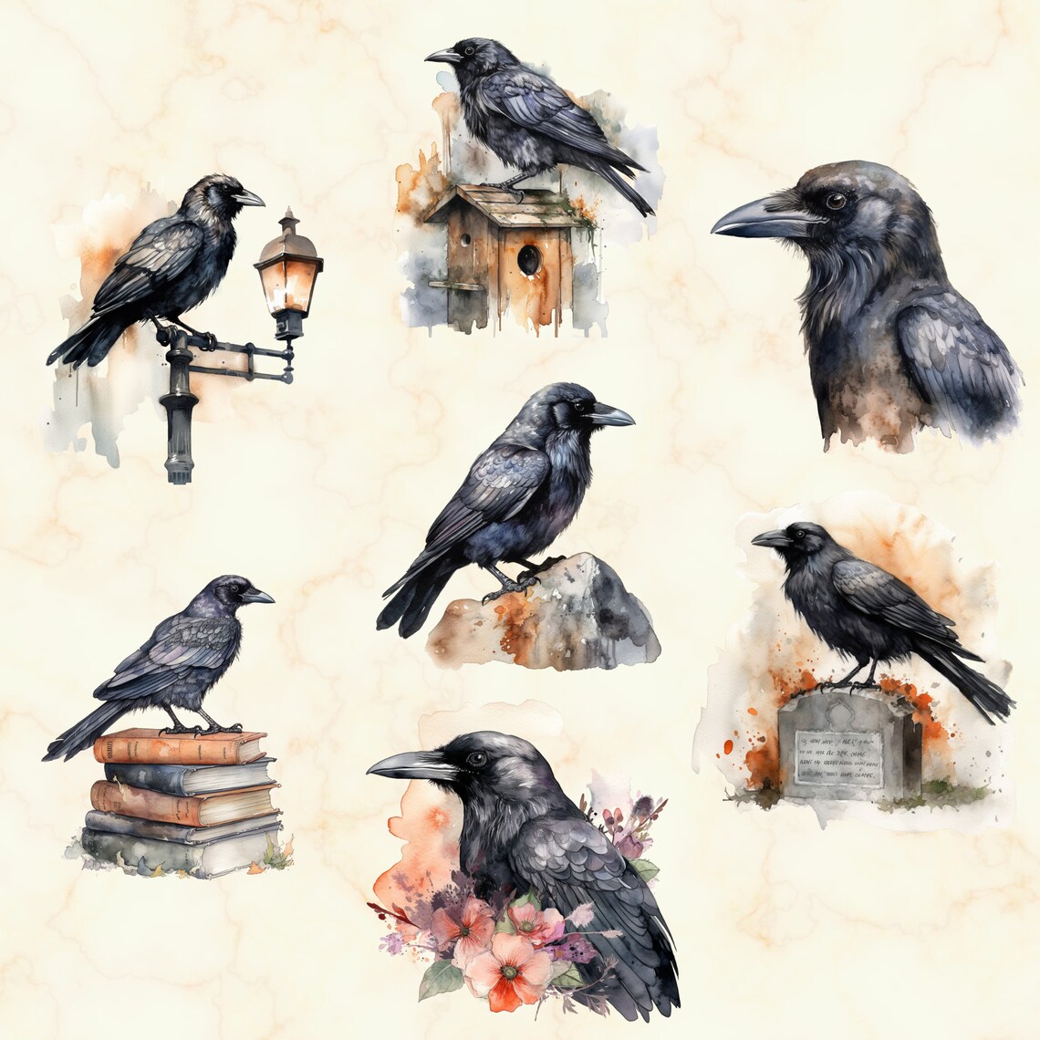 21 Crows Watercolor Clipart - Pretty Fall Black Crows PNG Set, Spooky ...