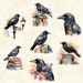 21 Crows Watercolor Clipart - Pretty Fall Black Crows PNG Set, Spooky ...