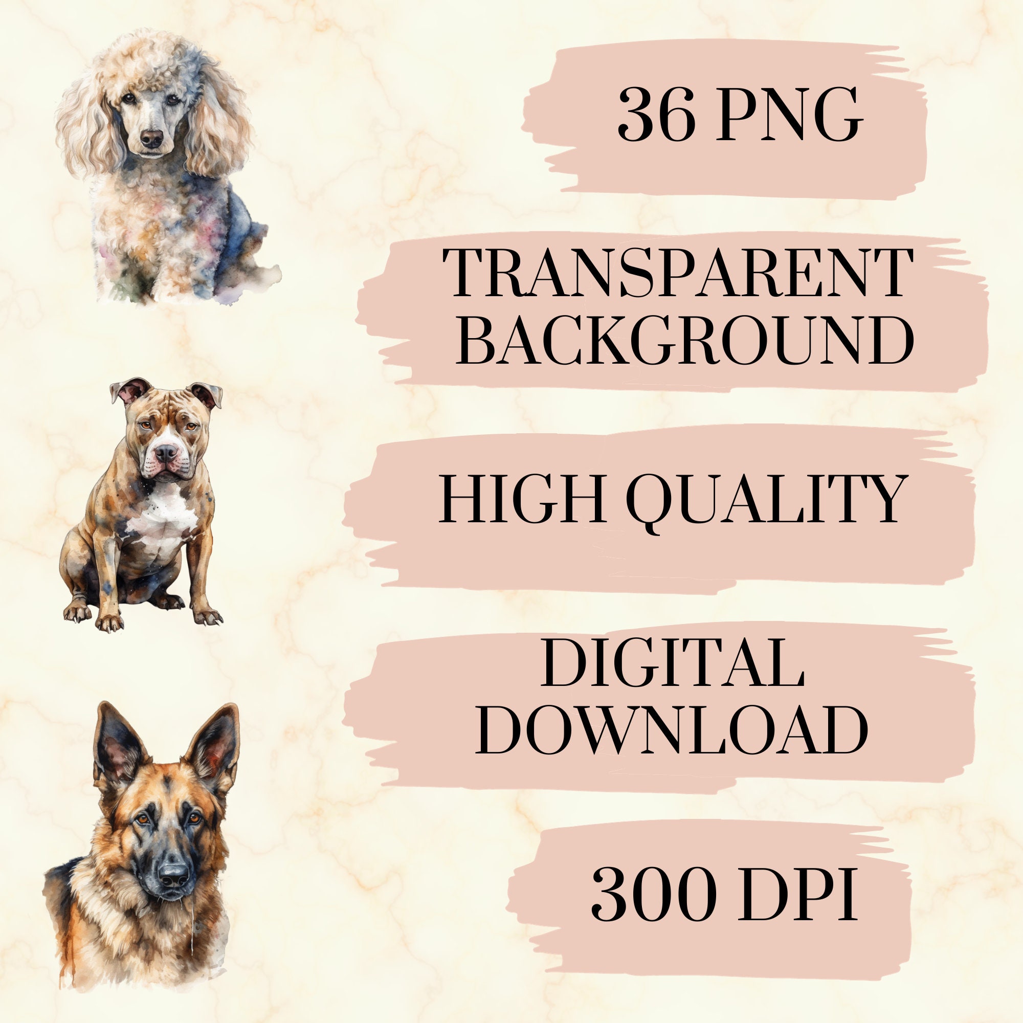 36 Dogs Watercolor Clipart Cute Dogs PNG Set Puppies PNG - Etsy