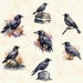 21 Crows Watercolor Clipart - Pretty Fall Black Crows PNG Set, Spooky ...