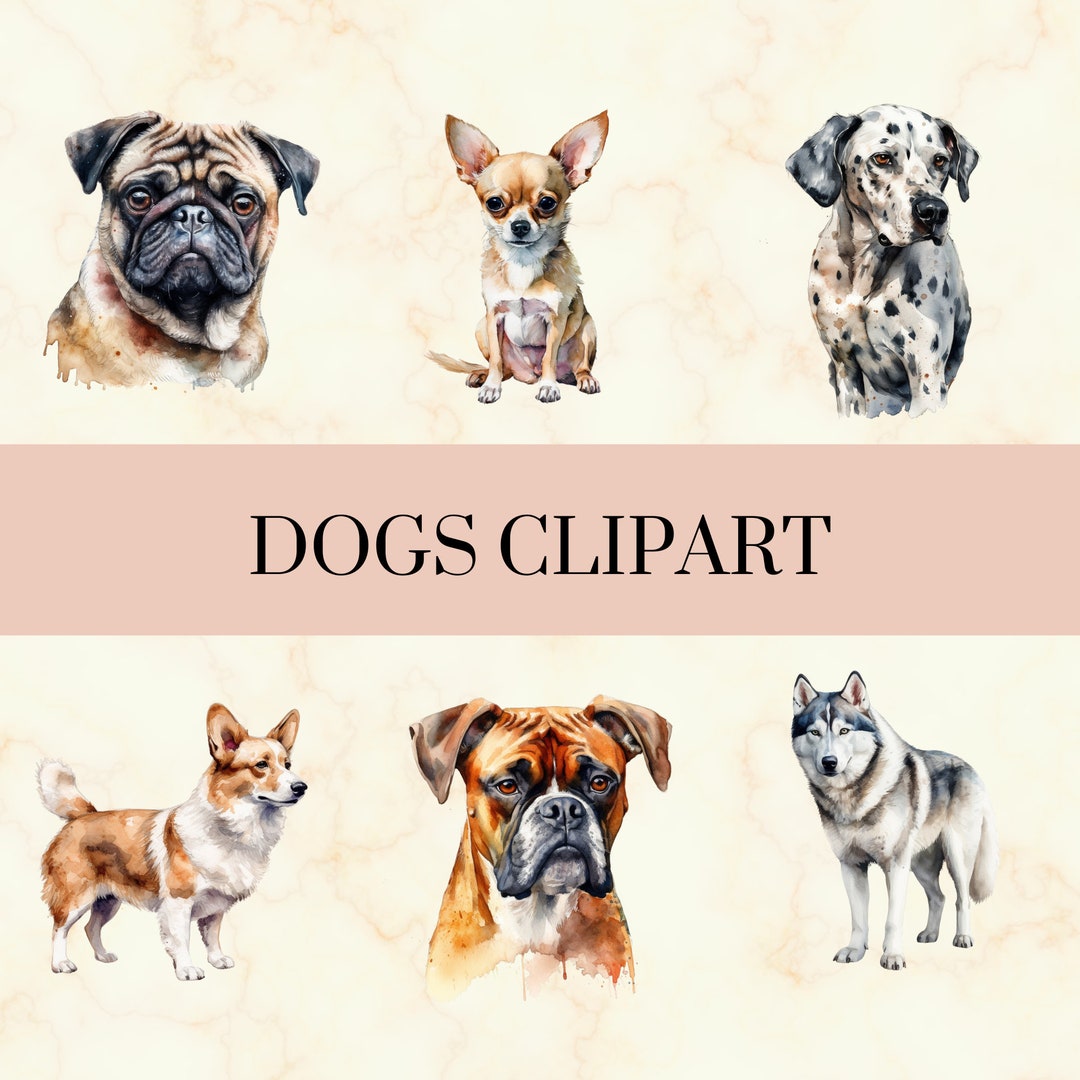 36 Dogs Watercolor Clipart - Cute Dogs PNG Set, Puppies PNG, Corgi, Pug ...