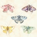 20 PNG Watercolor Pastel Moths Clipart - Moth PNG Set, Cute Colorful ...
