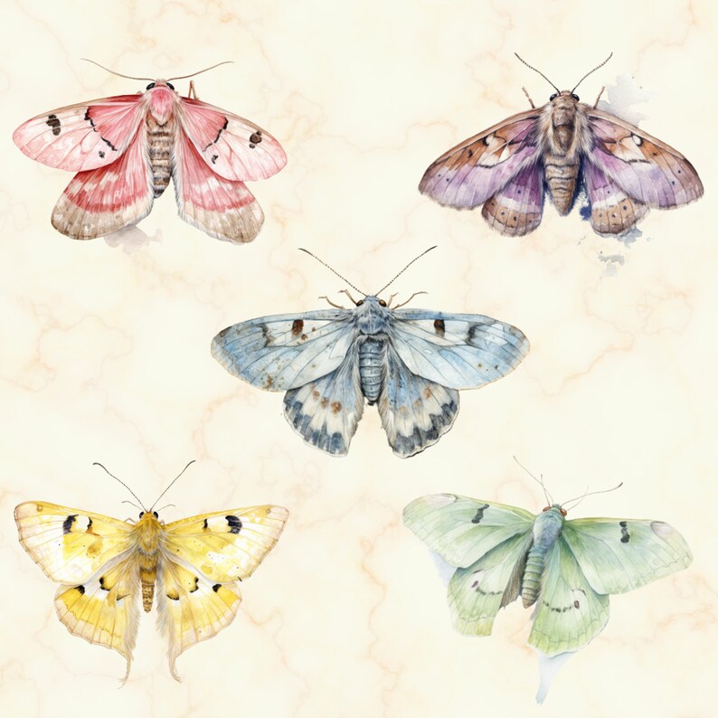20 PNG Watercolor Pastel Moths Clipart - Moth PNG Set, Cute Colorful ...
