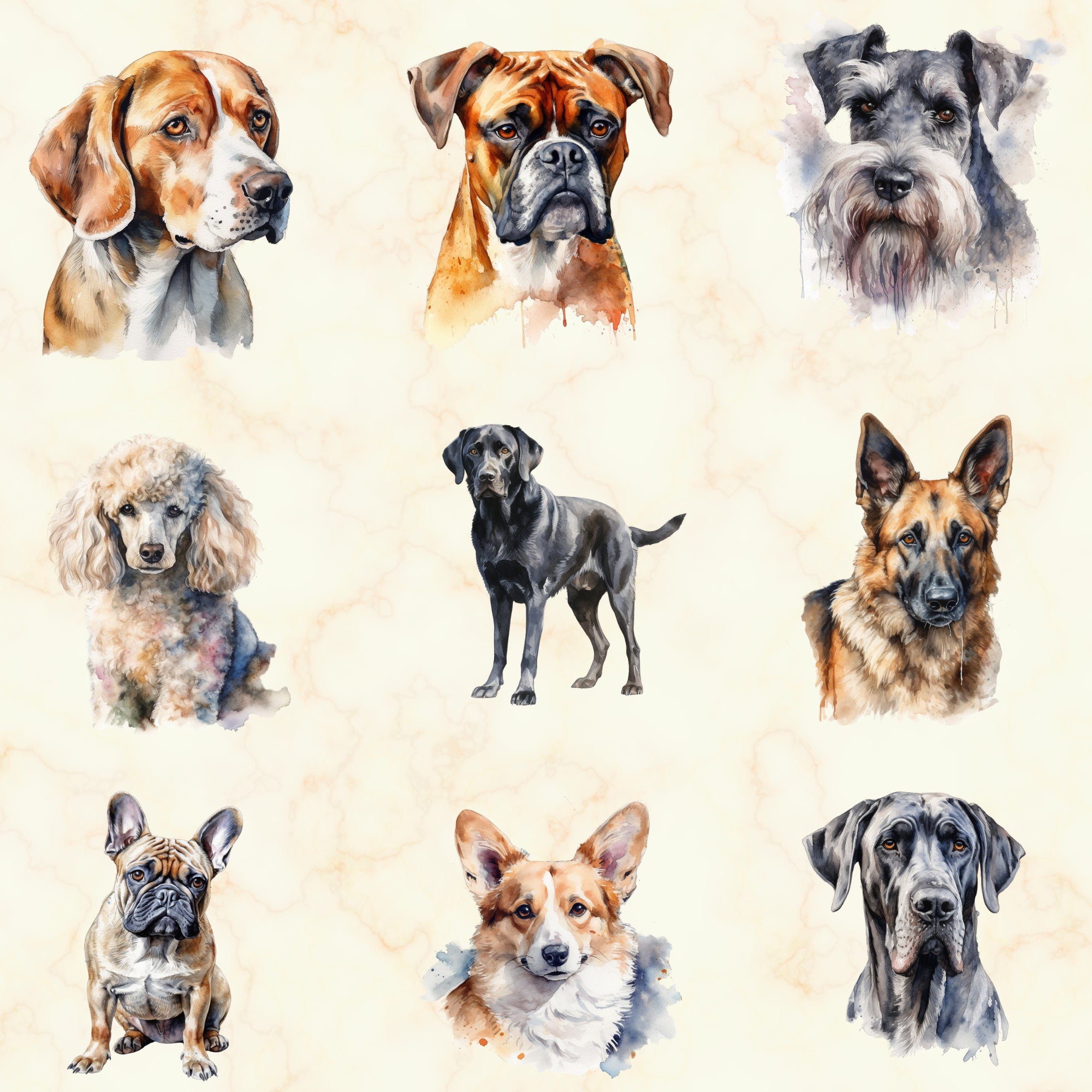 36 Dogs Watercolor Clipart - Cute Dogs PNG Set, Puppies PNG, Corgi, Pug ...