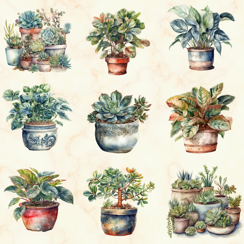 27 Houseplants Watercolor Clipart - Pretty Potted Plants PNG Set, Green ...