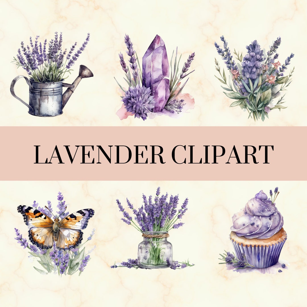 27 Lavender Watercolor Clipart - Pretty Lavender Garden PNG Set, Purple ...