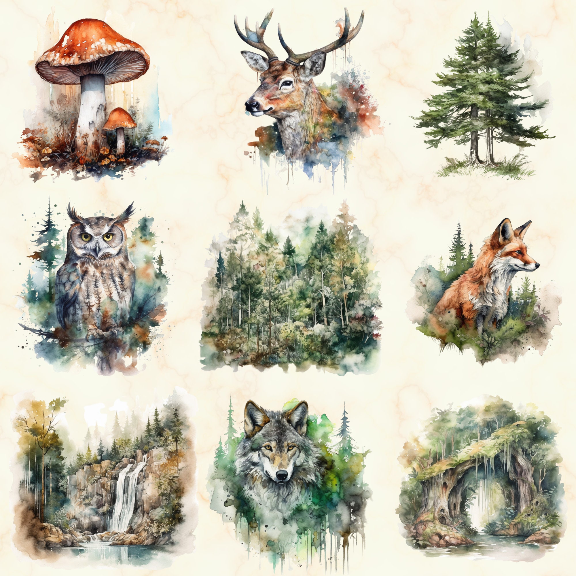 27 Forest Watercolor Clipart - Forest Animals PNG Set, Trees and ...