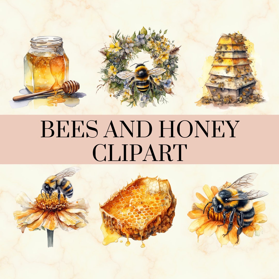 21 Bees and Honey Watercolor Clipart - Pretty Cottagecore PNG Set ...