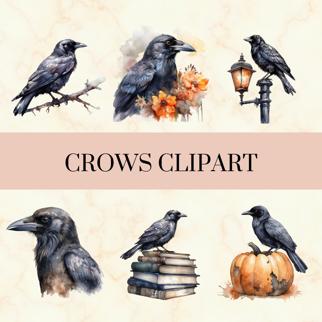 21 Crows Watercolor Clipart - Pretty Fall Black Crows PNG Set, Spooky ...