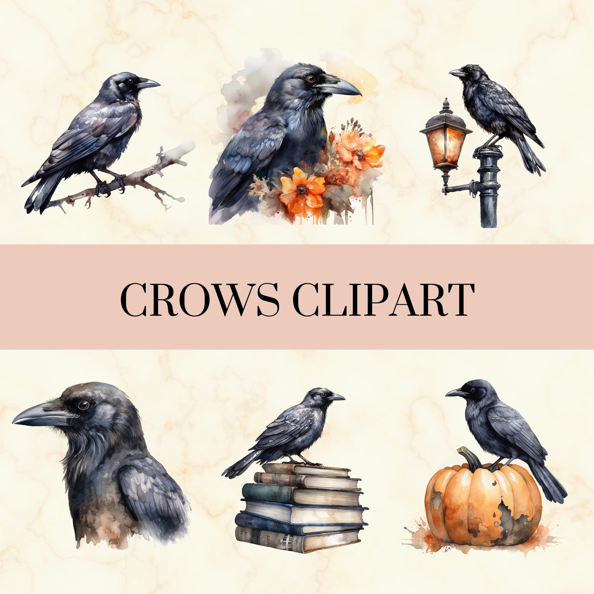 21 Crows Watercolor Clipart - Pretty Fall Black Crows PNG Set, Spooky ...