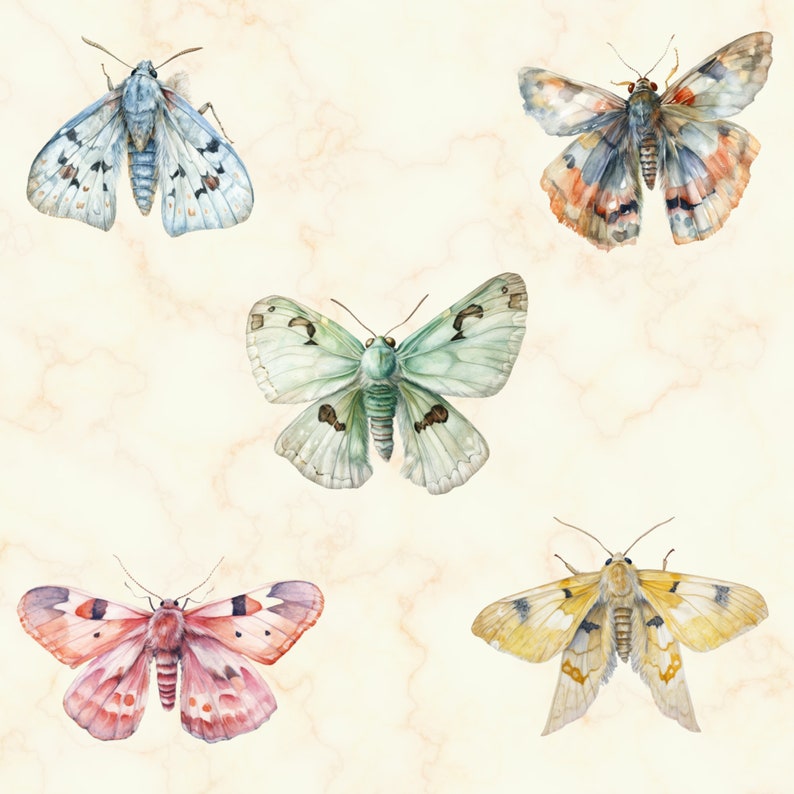20 PNG Watercolor Pastel Moths Clipart - Moth PNG Set, Cute Colorful ...