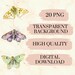 20 PNG Watercolor Pastel Moths Clipart - Moth PNG Set, Cute Colorful ...
