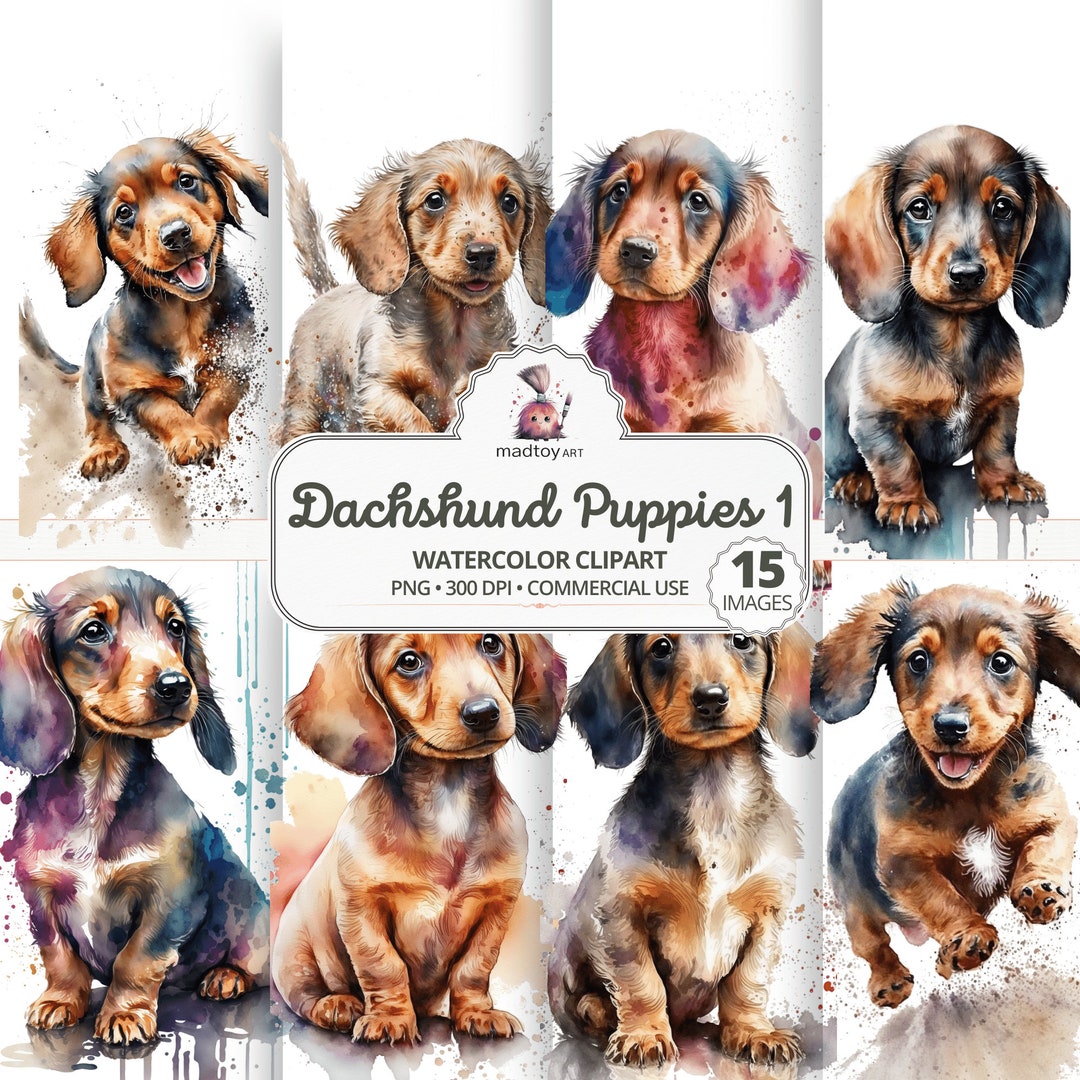 Dachshund Puppy Clipart, Dog PNG Files, Sausage Dog Watercolor Clipart ...