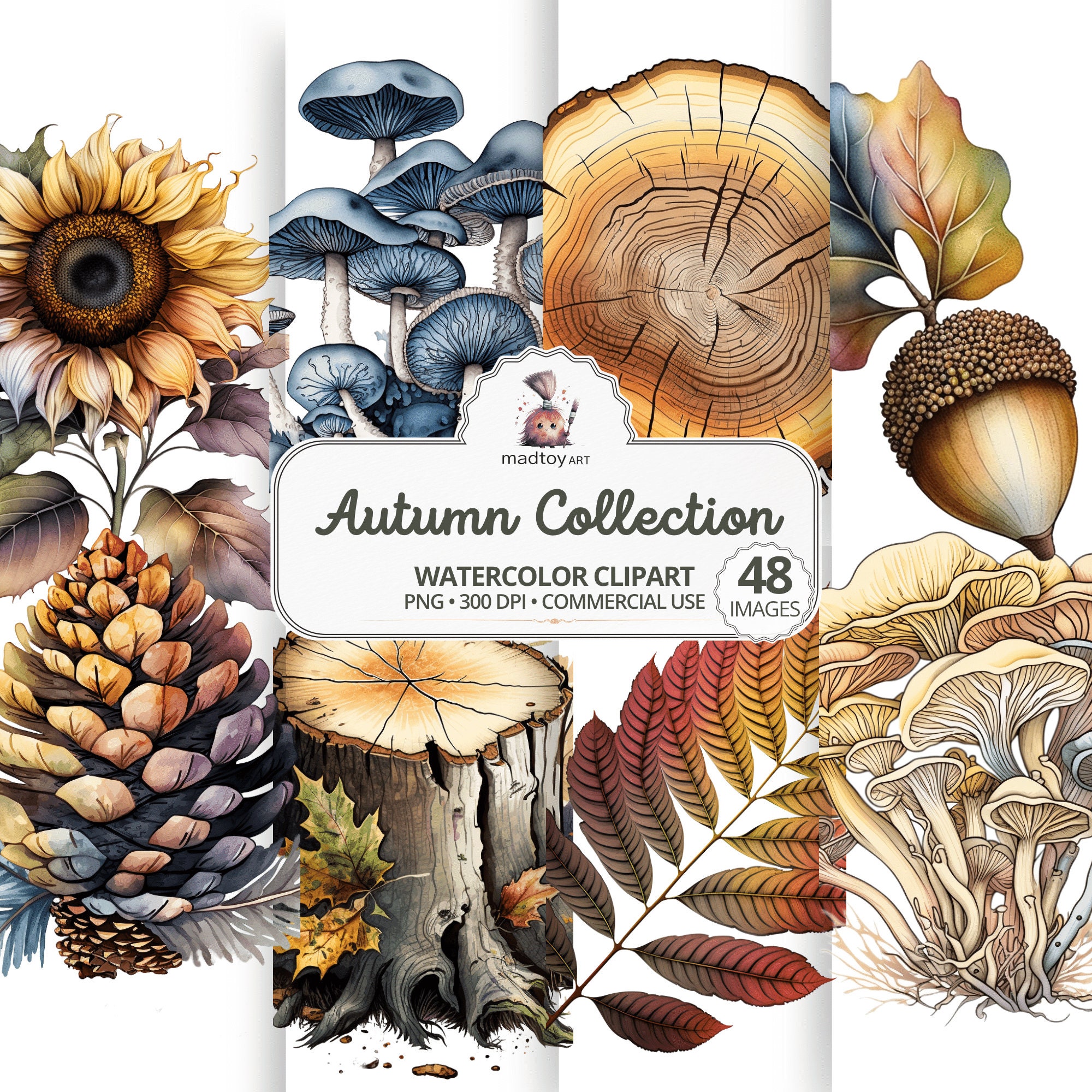 Fall Floral Clipart, Autumn Png, Woodland Floral, Mushroom, Leaves ...