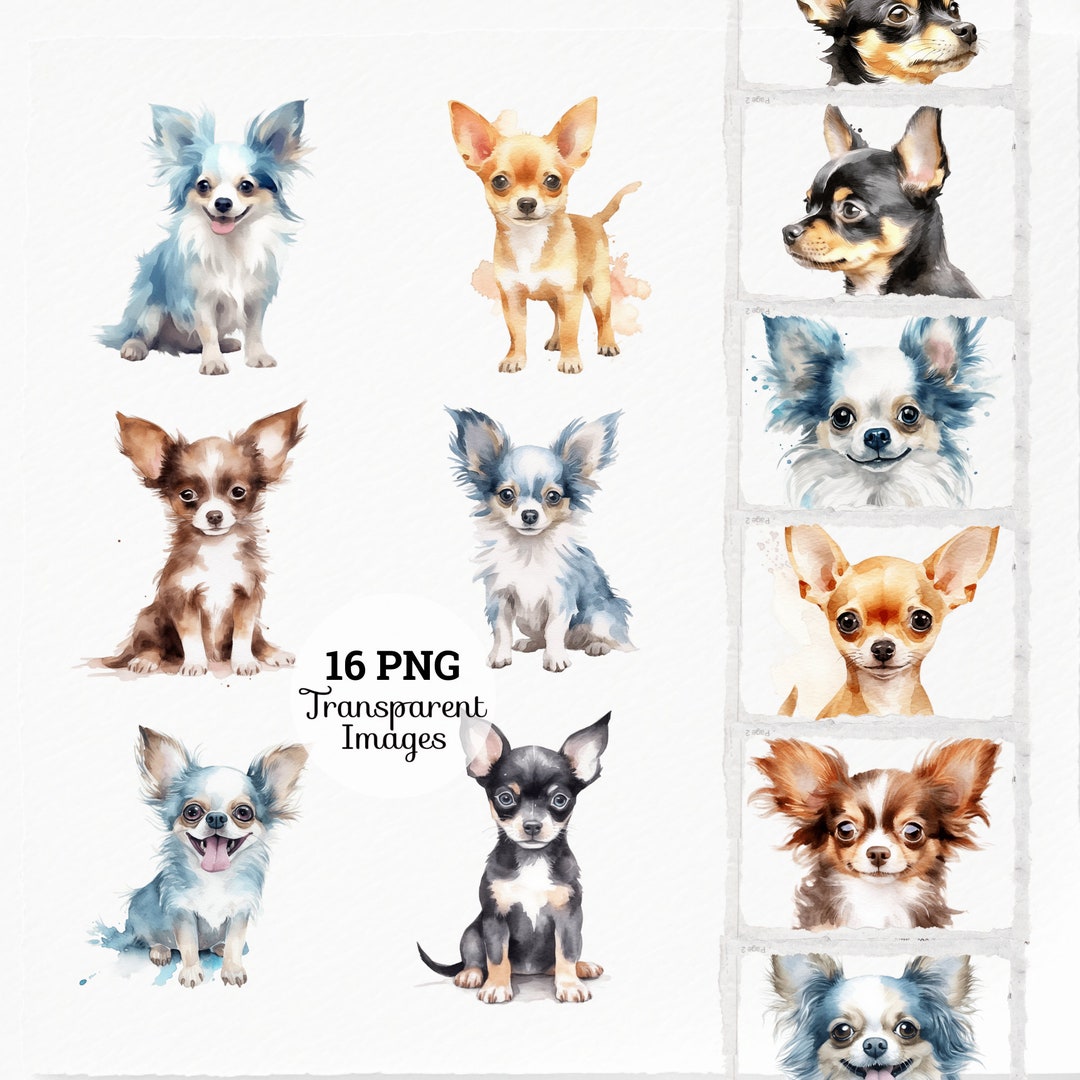 Chihuahua Clipart, Little Cute Dog Png for Sublimation, Watercolor Dog ...