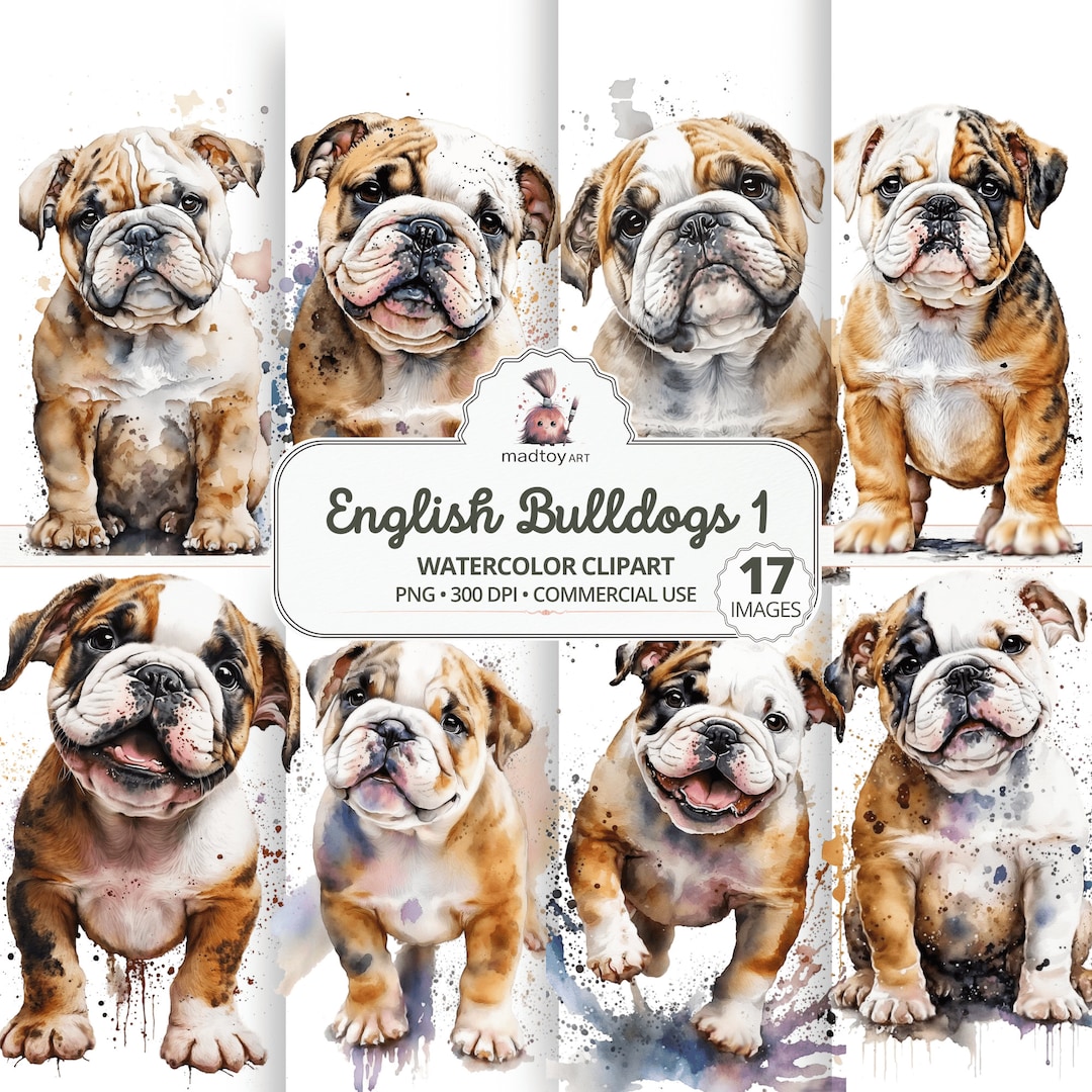 Bulldog Clipart Bundle, Bulldog Clipart PNG, English Bulldog Graphic ...