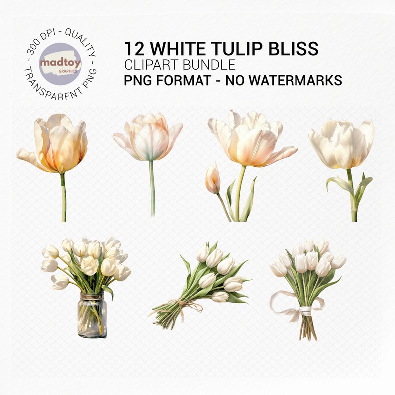 White Tulip Flowers Clipart White Tulips Clipart Spring Floral Clipart ...