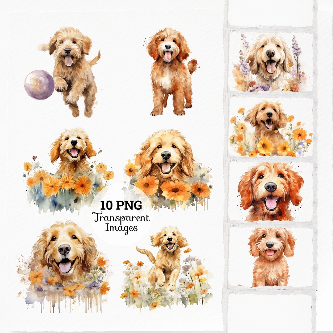 Cockapoo Clipart, Cute Dog Clipart, Dog PNG, Watercolor Dog Portrait ...