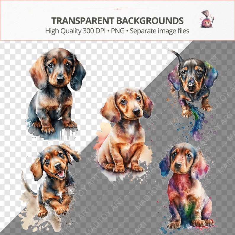 Dachshund Puppy Clipart, Dog PNG Files, Sausage Dog Watercolor Clipart ...