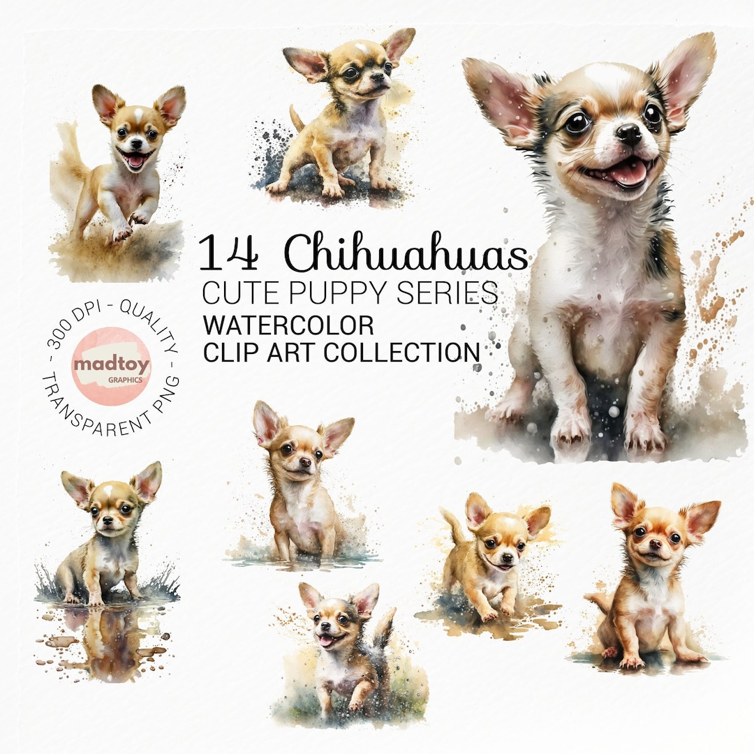 Chihuahua Clipart Chihuahua Puppy Clipart 14 Cute Dog - Etsy