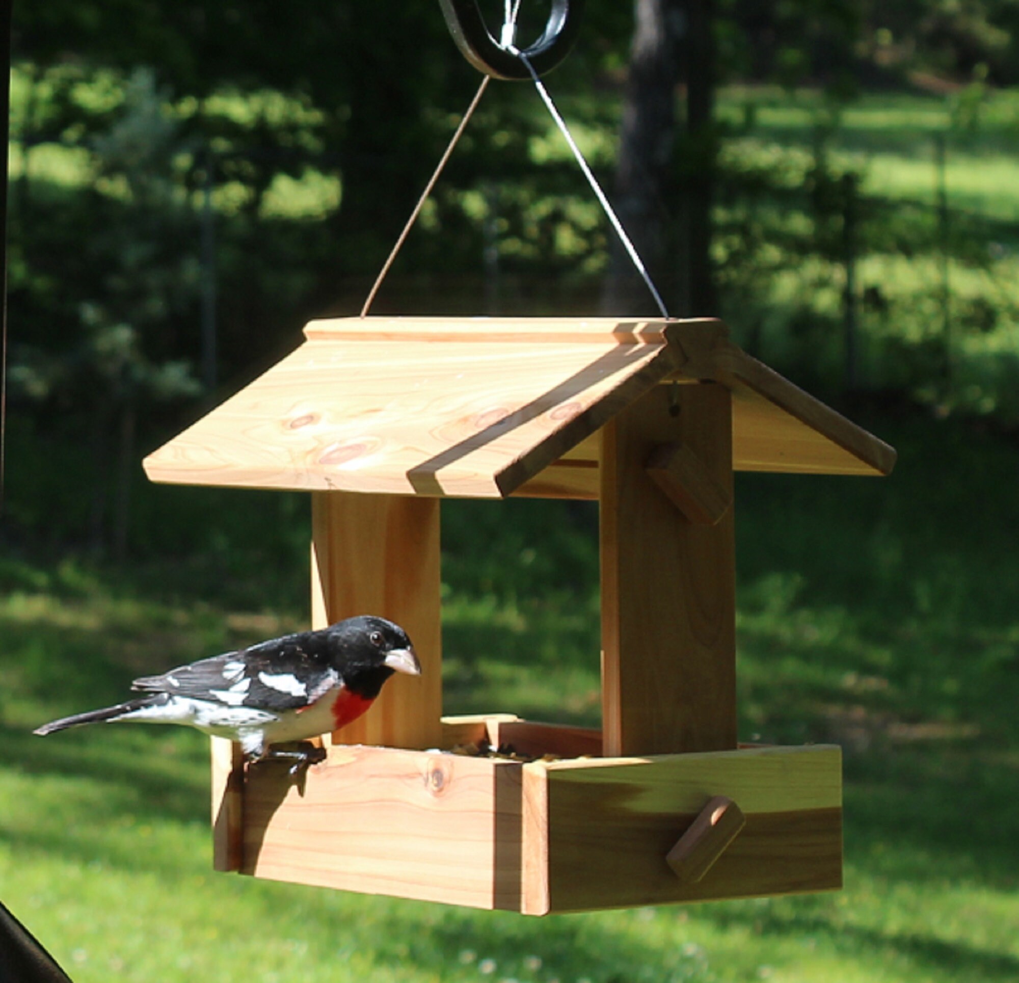 Fly Through Bird Feeder Kit - Etsy
