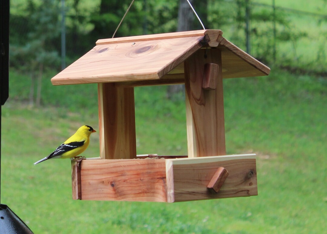 Fly Through Bird Feeder Kit - Etsy