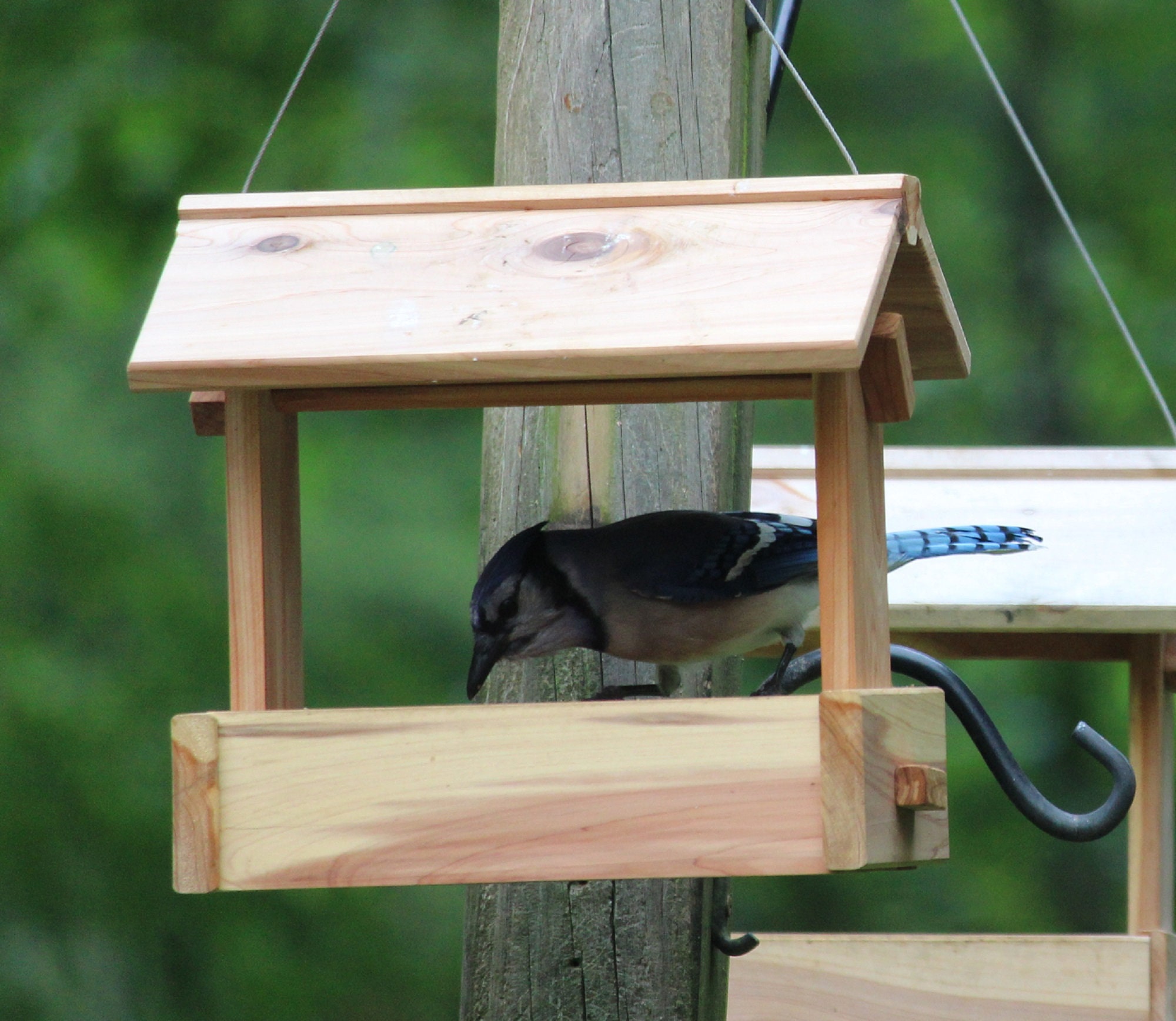 Fly Through Bird Feeder Kit - Etsy