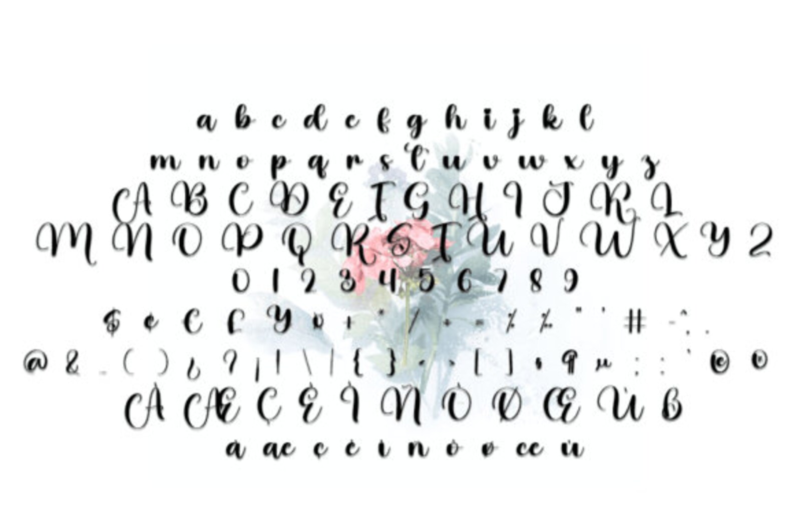 Alive Font Display Font Calligraphy Font Wedding Font - Etsy