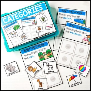 BUNDLE: ALL 12 Academic Task Boxes (grades K-2) With 12 Carrying Cases ...