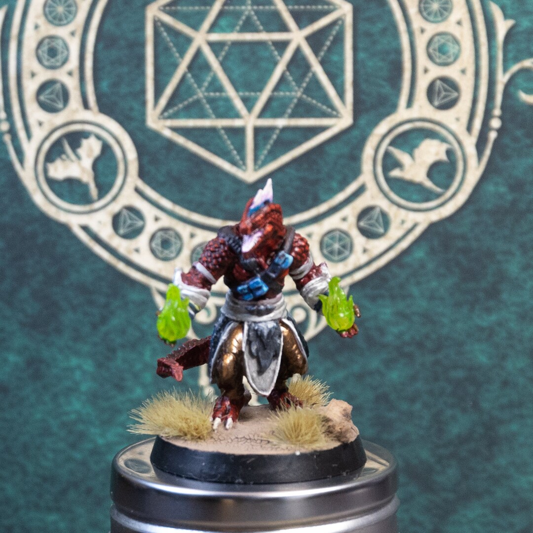 Dragon Born / Lizard Folk / Paladin / Fighter / Rogue / Cleric / Druid ...