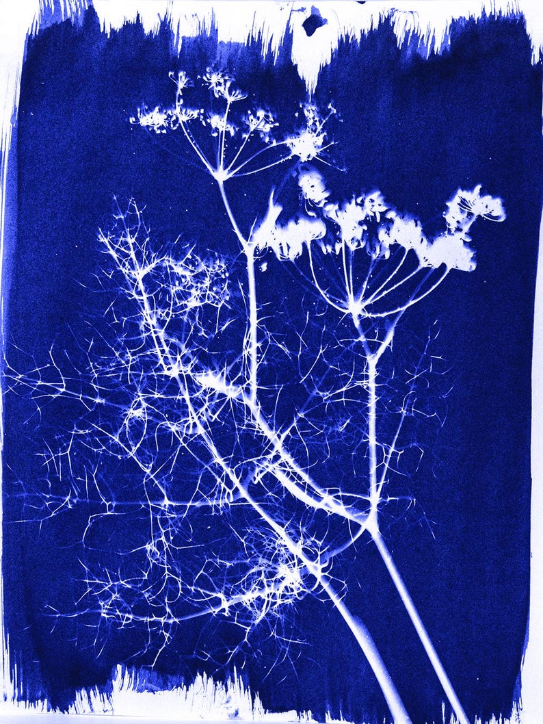 Cyanotype Kit - Etsy