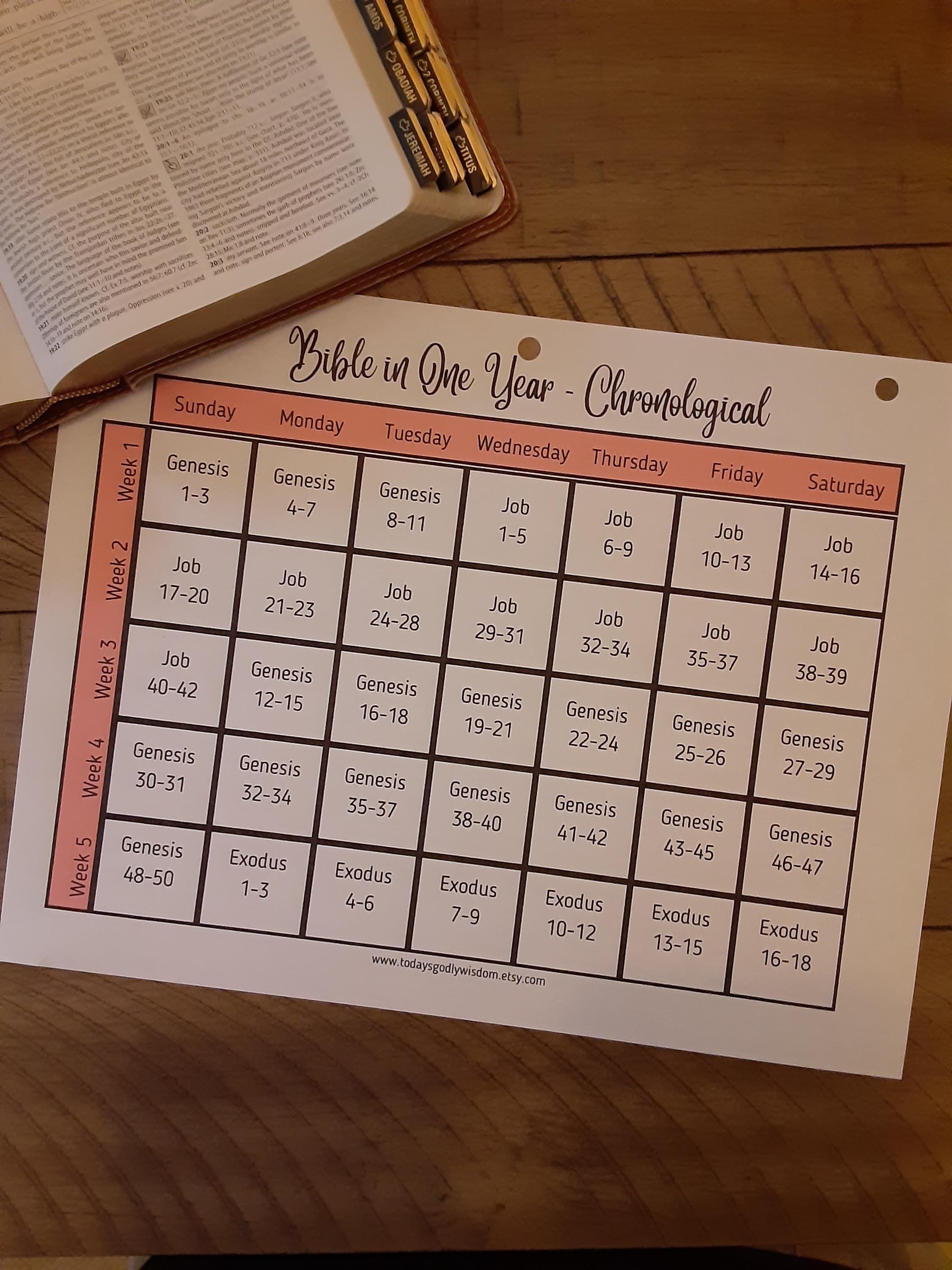Chronological Bible Reading Plan for a Year Long Study Guide 365 Days ...