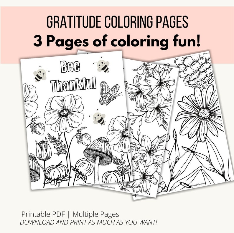 Christian Gratitude Journal Printable Thankfulness Journal - Etsy