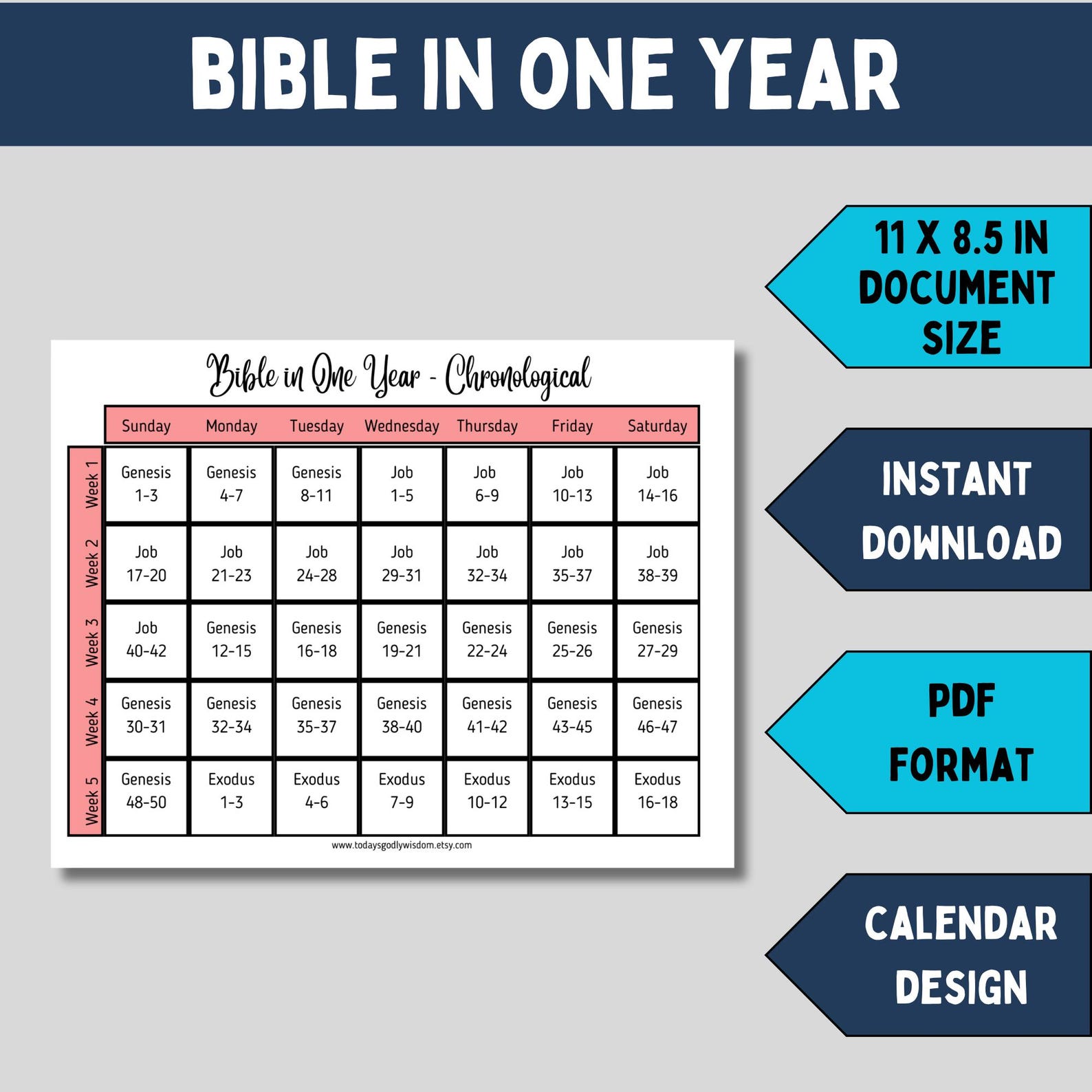 Chronological Bible Reading Plan for a Year Long Study Guide 365 Days ...