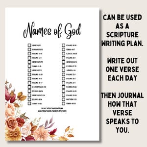 12 Month Bible Reading Plan for Beginners Bible Study Guide Printable ...