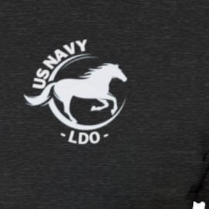 US Navy Limited Duty Officer LDO Mustang up Through the Ranks Navy ...