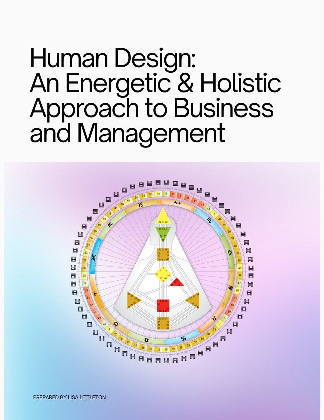 Applying Human Design to Business 101 Guide: No Prior Knowledge of ...