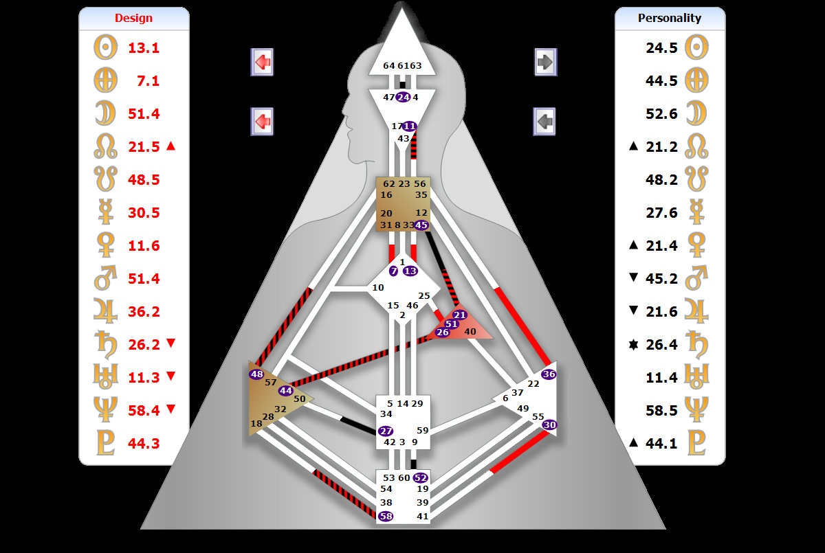 Human Design: Your Personal Reading, 25 Page Comprehensive Analysis and ...