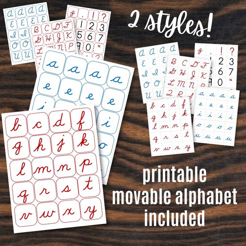 Montessori Cursive CVC Words Pink Series Cards: Elementary Moveable ...