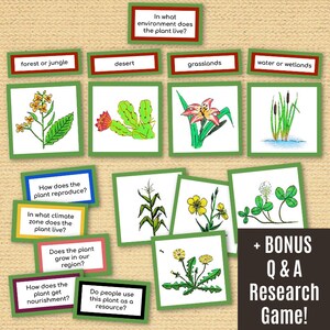 Montessori Plant Kingdom Montessori Materials - Montessori Elementary ...