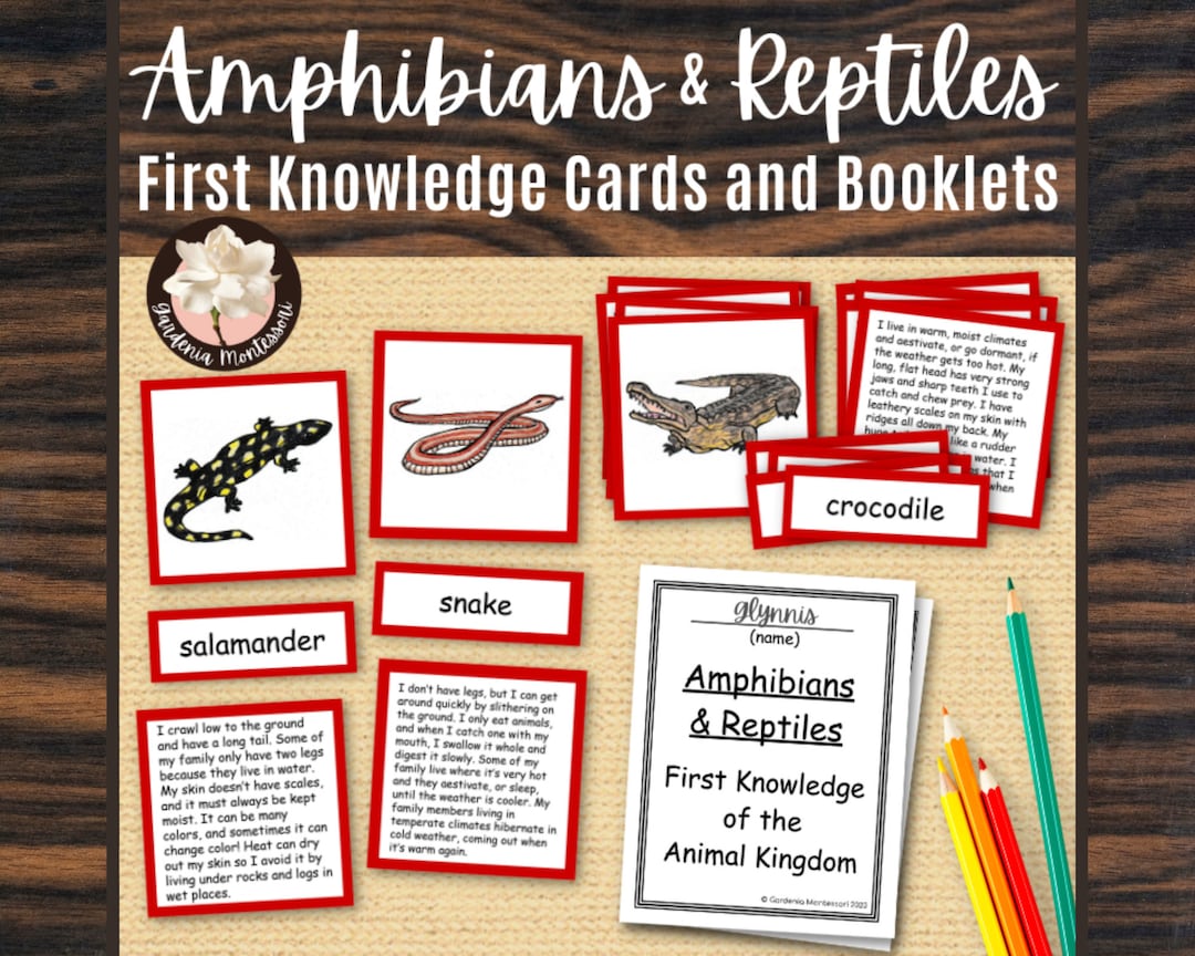 Montessori Reptiles and Amphibians 3-part Cards: Educational Science ...
