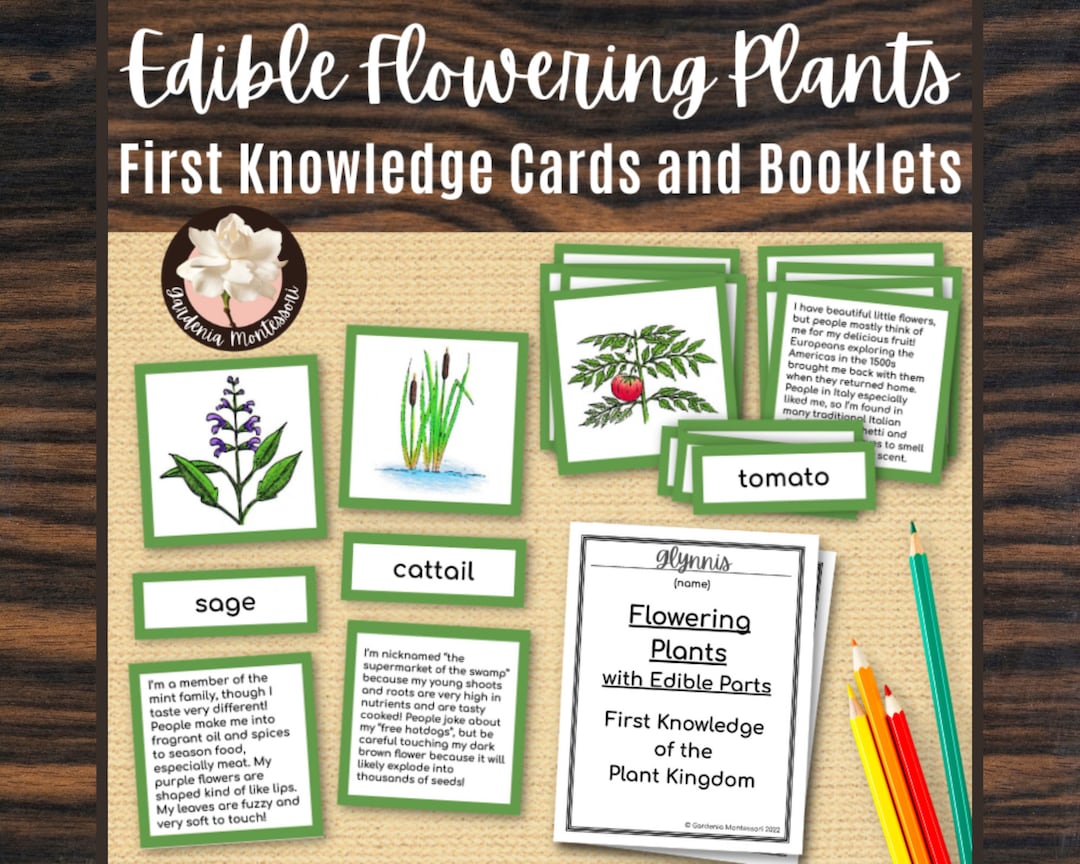 Edible Plants Science 3 Part Cards Montessori Materials - Types of ...