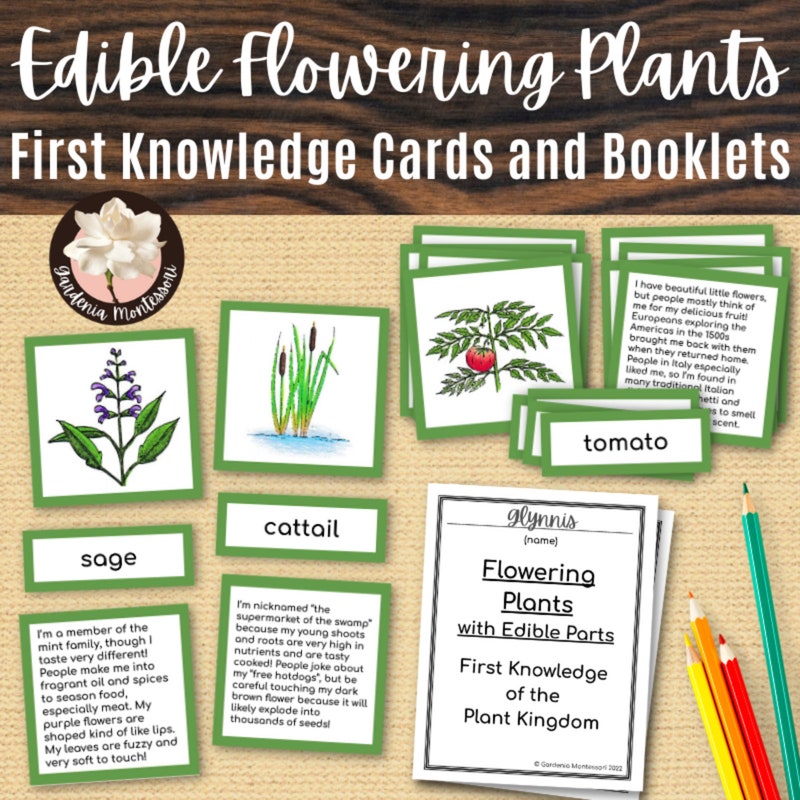 Edible Plant - Etsy