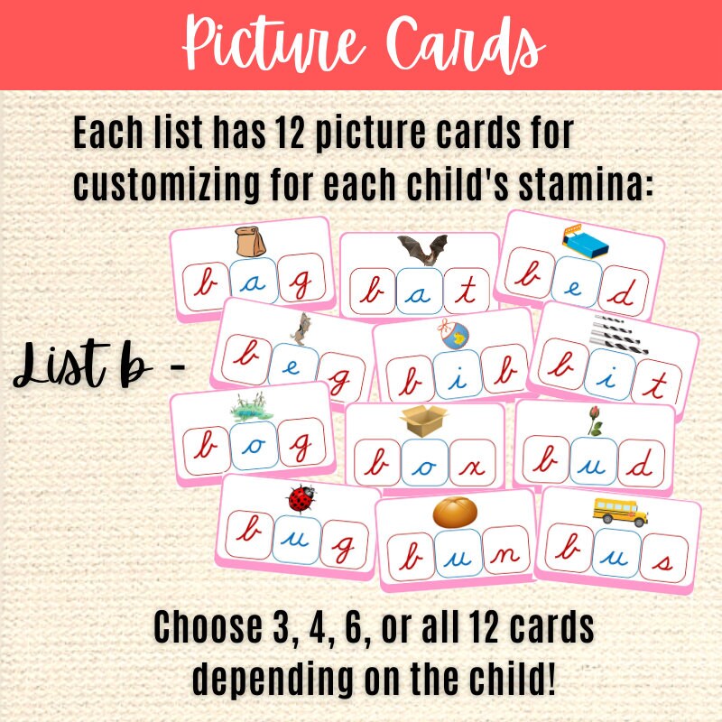 Montessori Cursive CVC Words Pink Series Cards Montessori Materials ...