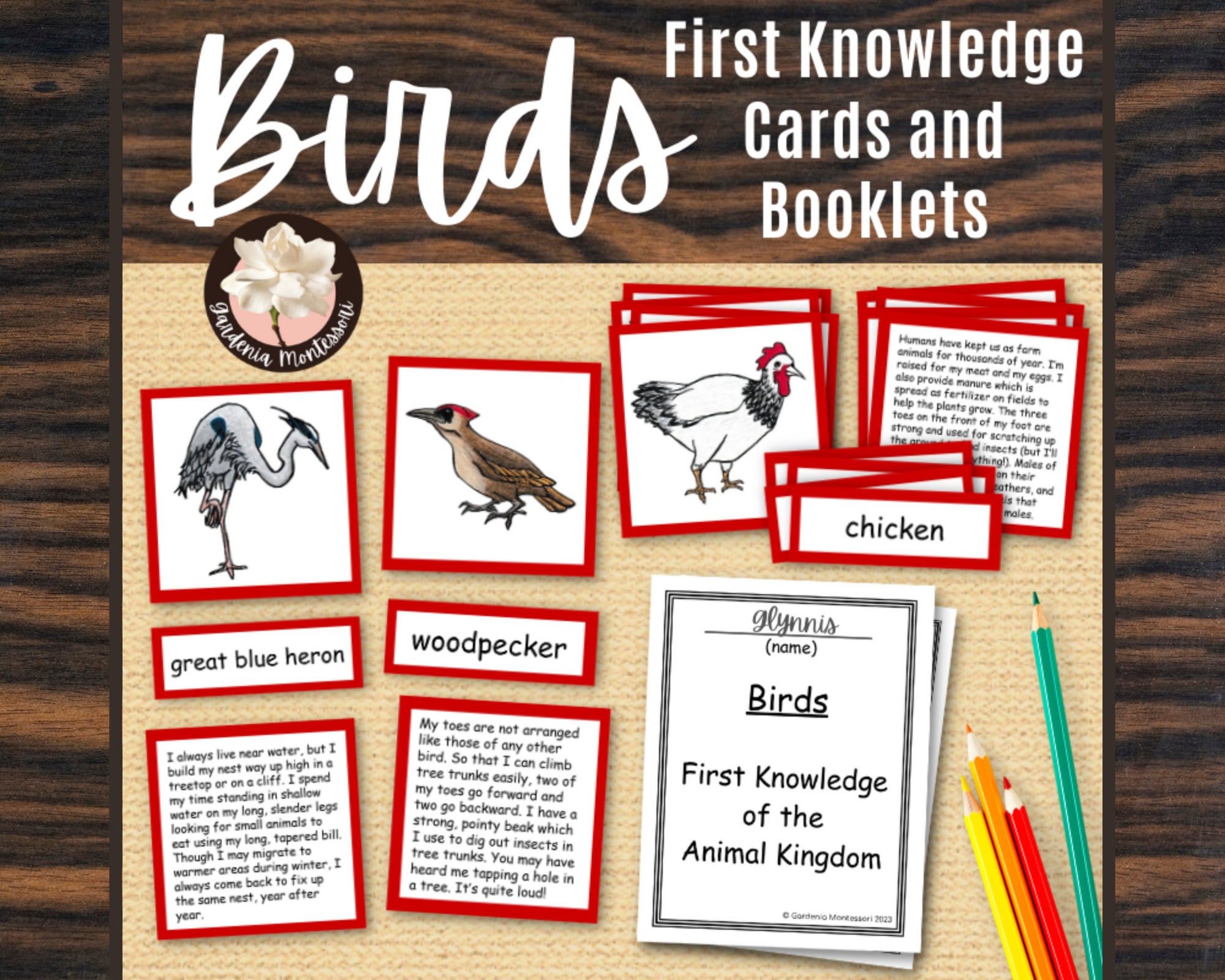 Montessori Birds 3 Part Cards Montessori Booklet - Animal Kingdom ...